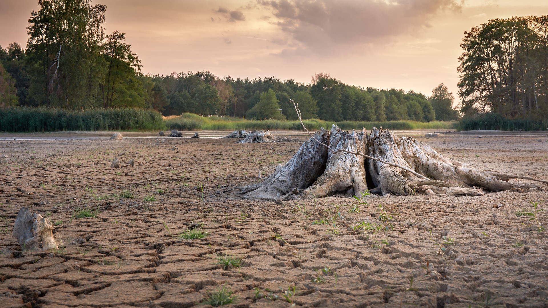 STOP DROUGHT! World Anti-Desertification and Drought Day. | aPGW